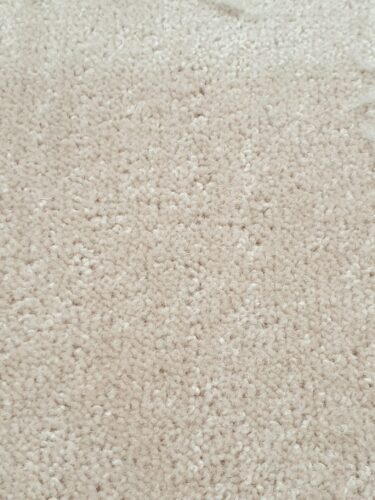 AT LEAST 70% OFF Westex Ultima Twist Ultima Alabaster 4m x 2.8m