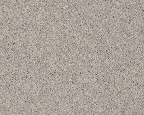 AT LEAST 70% OFF Woodland Heather Twist Elite Silver Fox 4m x 4m